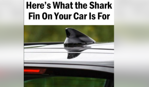 Why Modern Cars Have a Shark Fin on the Roof — and What It Actually ...